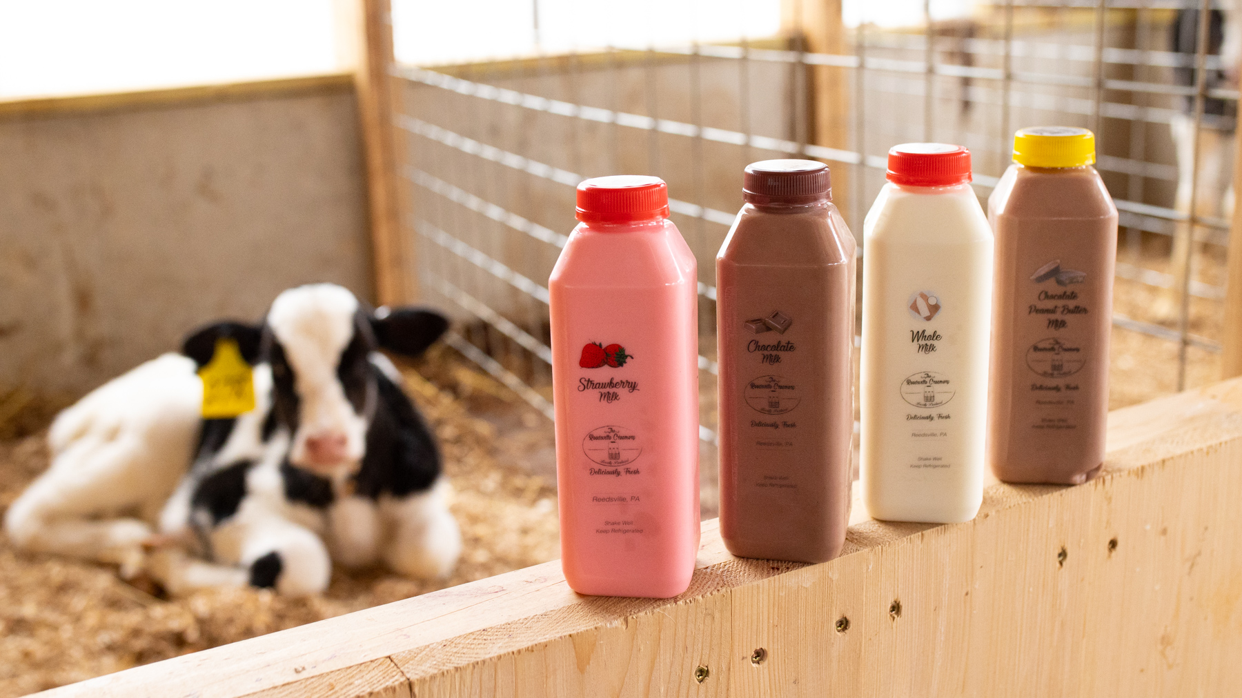 Deliciously Fresh Milk and Dairy Products | The Reedsville Creamery