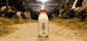 What Is Creamline Milk and Why Does It Matter!