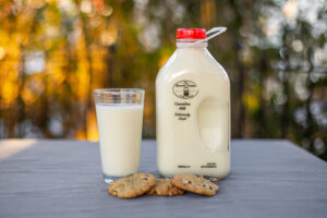 What Is Creamline Milk and Why Does It Matter!