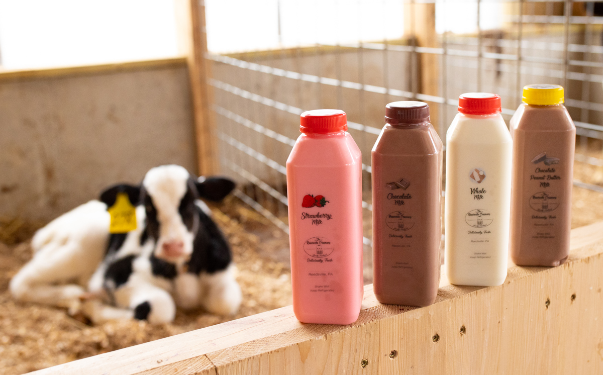 Local Milk: 4 Deliciously Simple Reasons Why It Matters in 2023