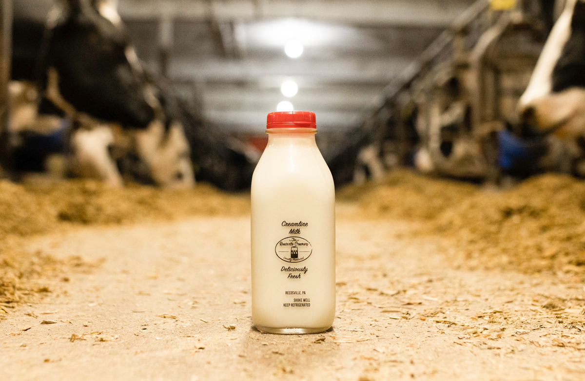 Local Milk: 4 Deliciously Simple Reasons Why It Matters in 2023